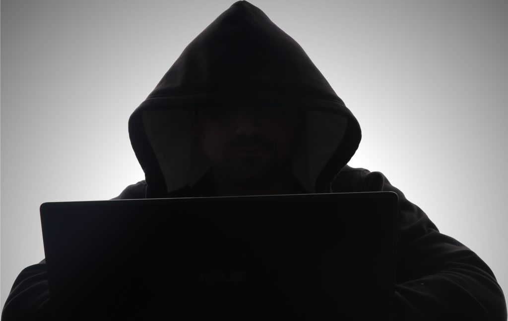 Ali Hafezi - Senior Full Stack Web Developer and WordPress Expert